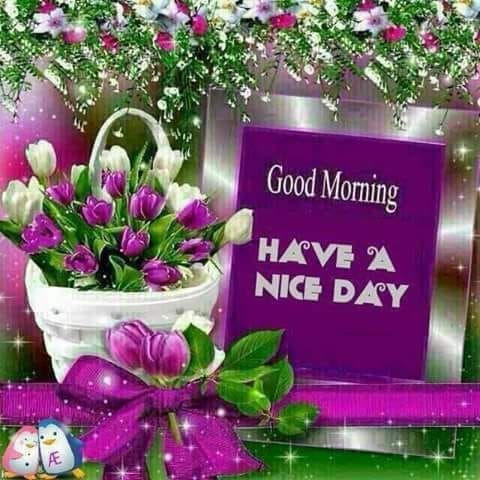 Tulip Good Morning Nice Day Pictures, Photos, and Images for Facebook ...