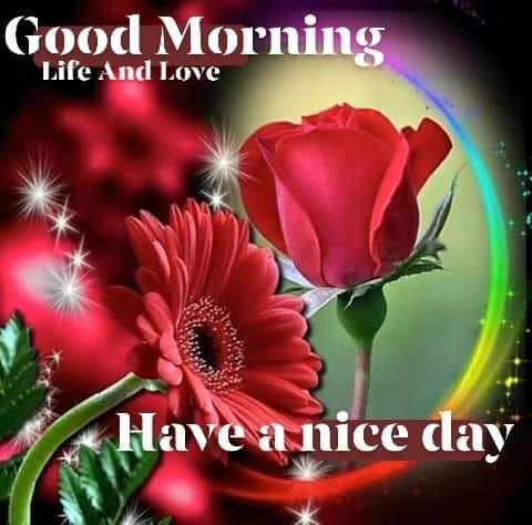 Wishes For A Nice Day Pictures, Photos, and Images for Facebook, Tumblr ...