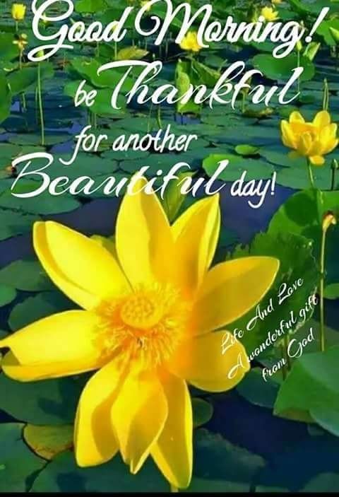 Thankful For Another Beautiful Day Pictures, Photos, and Images for ...