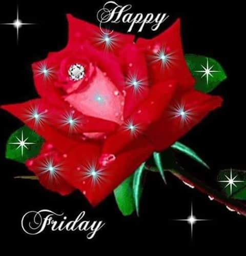 Diamond Rose Happy Friday Pictures, Photos, and Images for Facebook ...