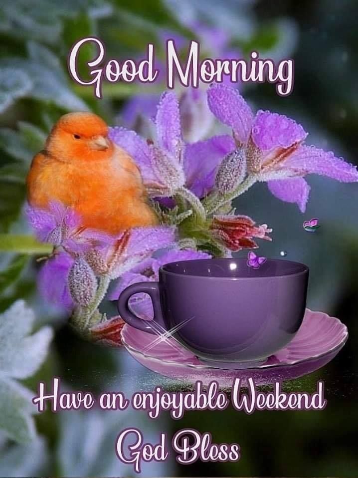 Enjoyable Weekend Pictures, Photos, and Images for Facebook, Tumblr ...