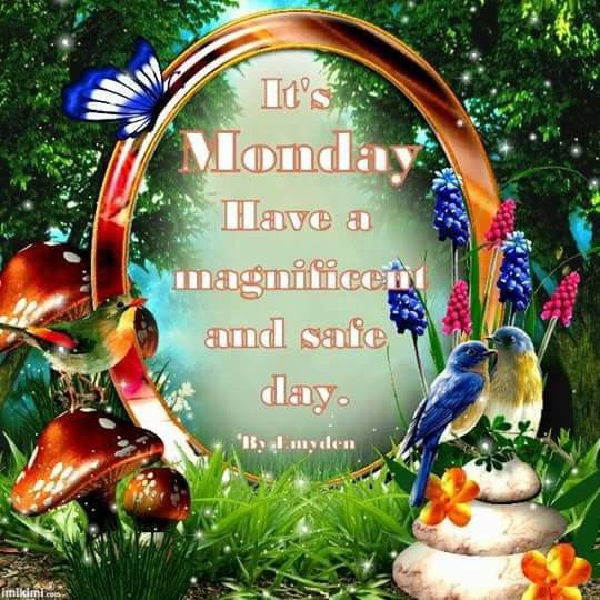 Magnificent And Safe Monday Pictures, Photos, and Images for Facebook ...