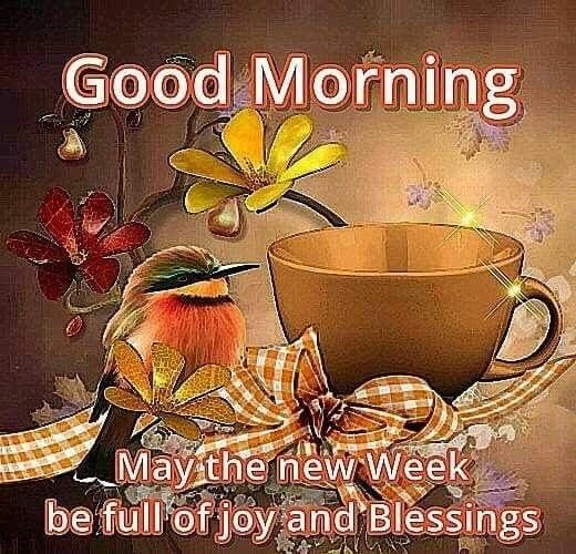 New Week Full Of Joy And Blessings Pictures, Photos, and Images for ...