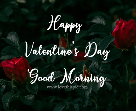 Happy Valentines Day Good Morning Pictures, Photos, and Images for ...