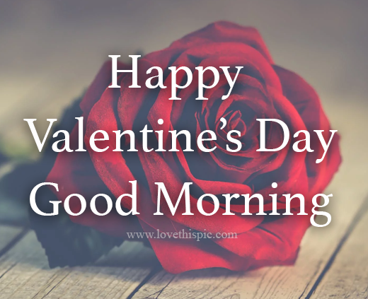 Vintage Rose Happy Valentines Day Good Morning Pictures, Photos, and ...