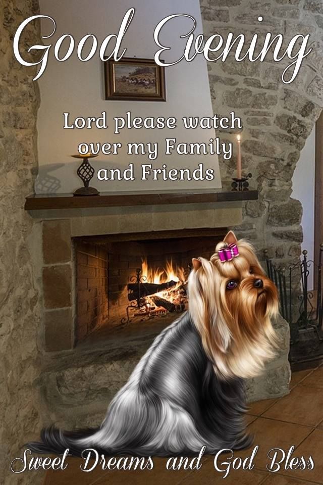 Doggy By The Fire - Good Evening Pictures, Photos, and Images for ...