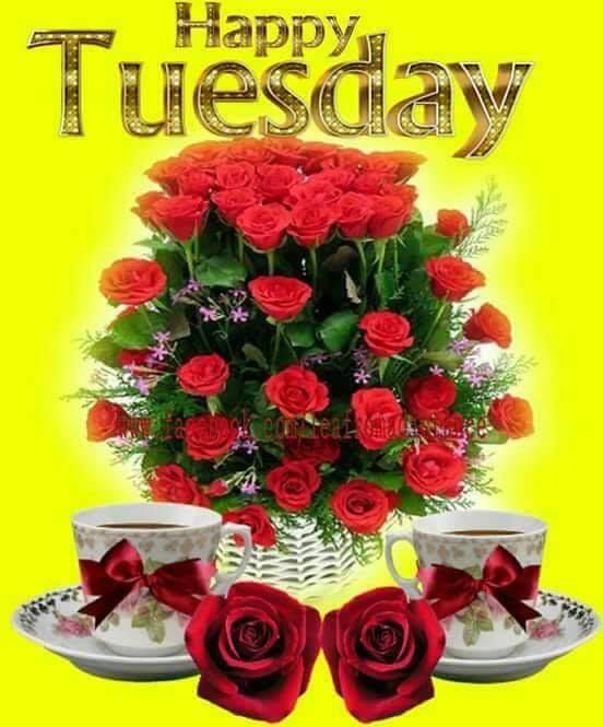 Double Tea Happy Tuesday Quote Pictures, Photos, and Images for ...