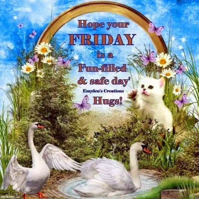 Fun Filled Friday Pictures, Photos, and Images for Facebook, Tumblr ...