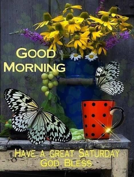 Two Butterfly Good Morning Great Saturday Pictures, Photos, and Images ...