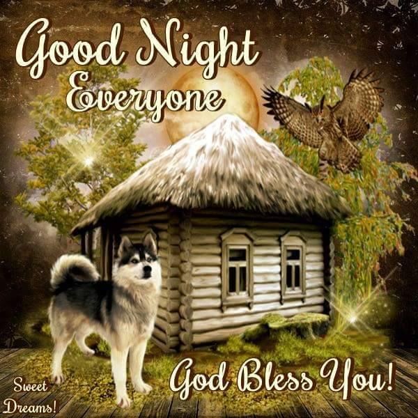 Husky Owl Good Night Quote Pictures, Photos, and Images for Facebook ...