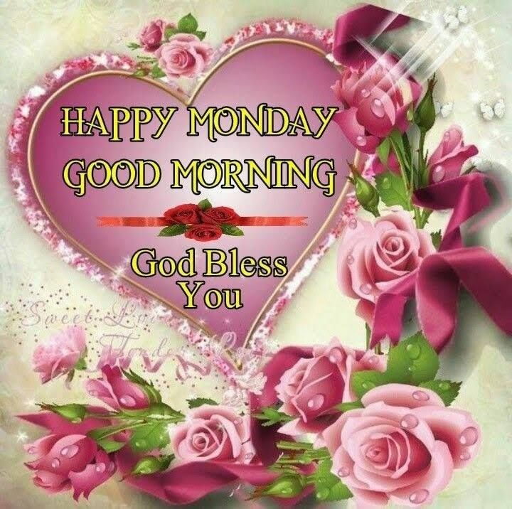 Pink Rose Happy Monday Pictures, Photos, and Images for Facebook ...