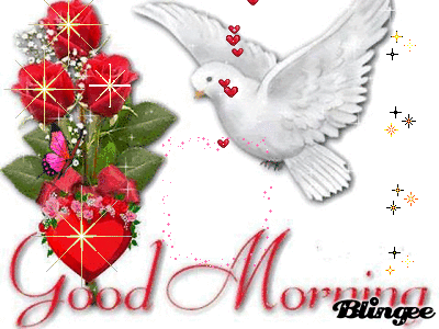 Flying Dove Good Morning Gif Pictures, Photos, and Images for Facebook ...