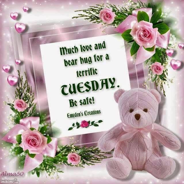 Bear Hug For A Terrific Tuesday Pictures, Photos, and Images for ...