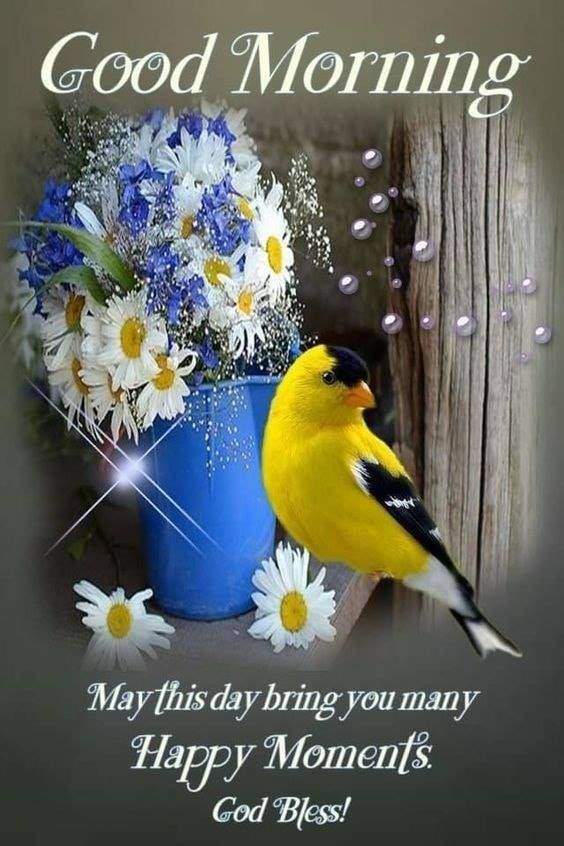 Happy Moments - Good Morning Pictures, Photos, and Images for Facebook ...