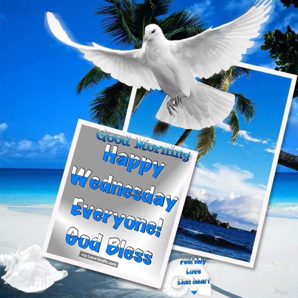 Flying Dove - Happy Wednesday Good Morning Pictures, Photos, and Images ...