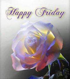 White Rose Happy Friday Quote Pictures, Photos, and Images for Facebook ...