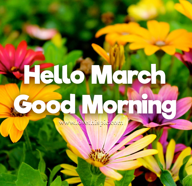 Assorted Flower Hello March Quote Pictures, Photos, and Images for ...