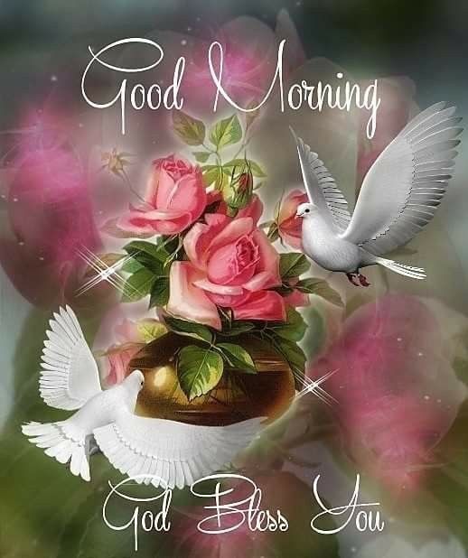 Flying Dove Good Morning Pic Pictures, Photos, and Images for Facebook ...