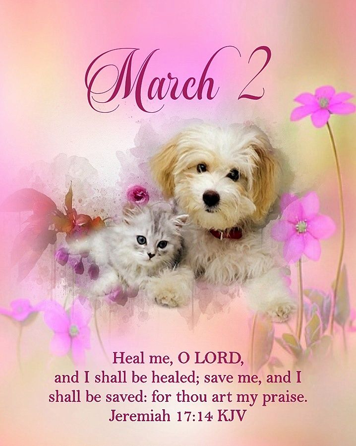 March 2 Pictures, Photos, and Images for Facebook, Tumblr, Pinterest ...