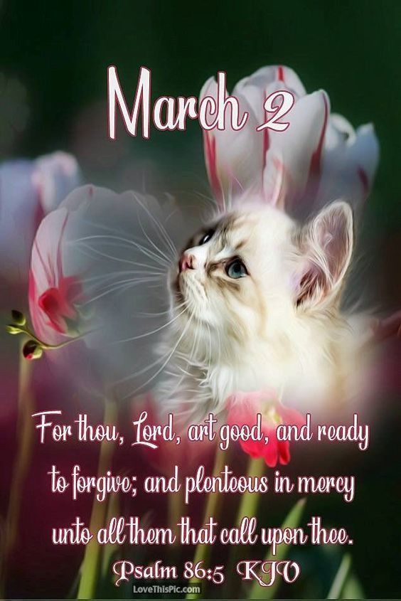 Blessed March 2nd Pictures, Photos, and Images for Facebook, Tumblr ...