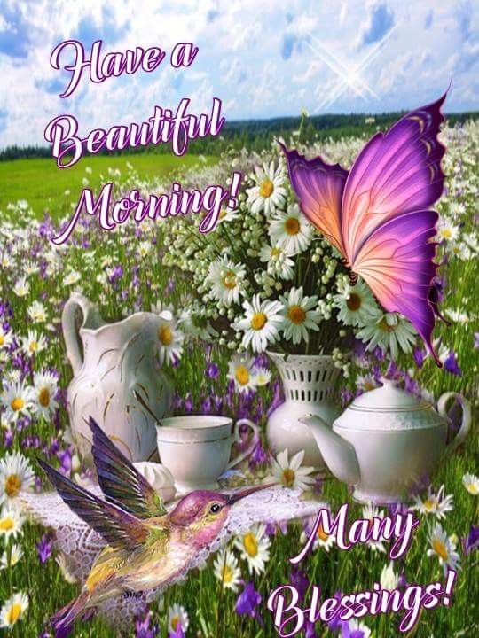 Beautiful Spring Morning Pictures, Photos, and Images for Facebook ...