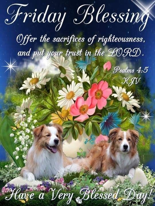 Happy Friday Puppy Pics