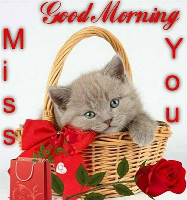 Miss You, Good Morning Pictures, Photos, and Images for Facebook ...