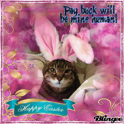 Kitty Bunny - Happy Easter Gif Pictures, Photos, and Images for ...