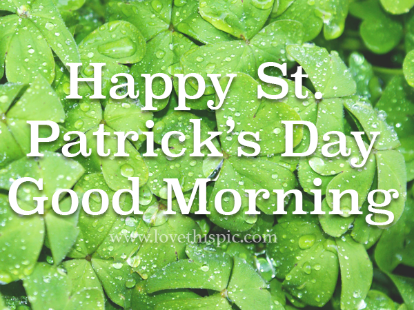 Bright Clover - Happy St. Patrick Good Morning Pictures, Photos, and ...
