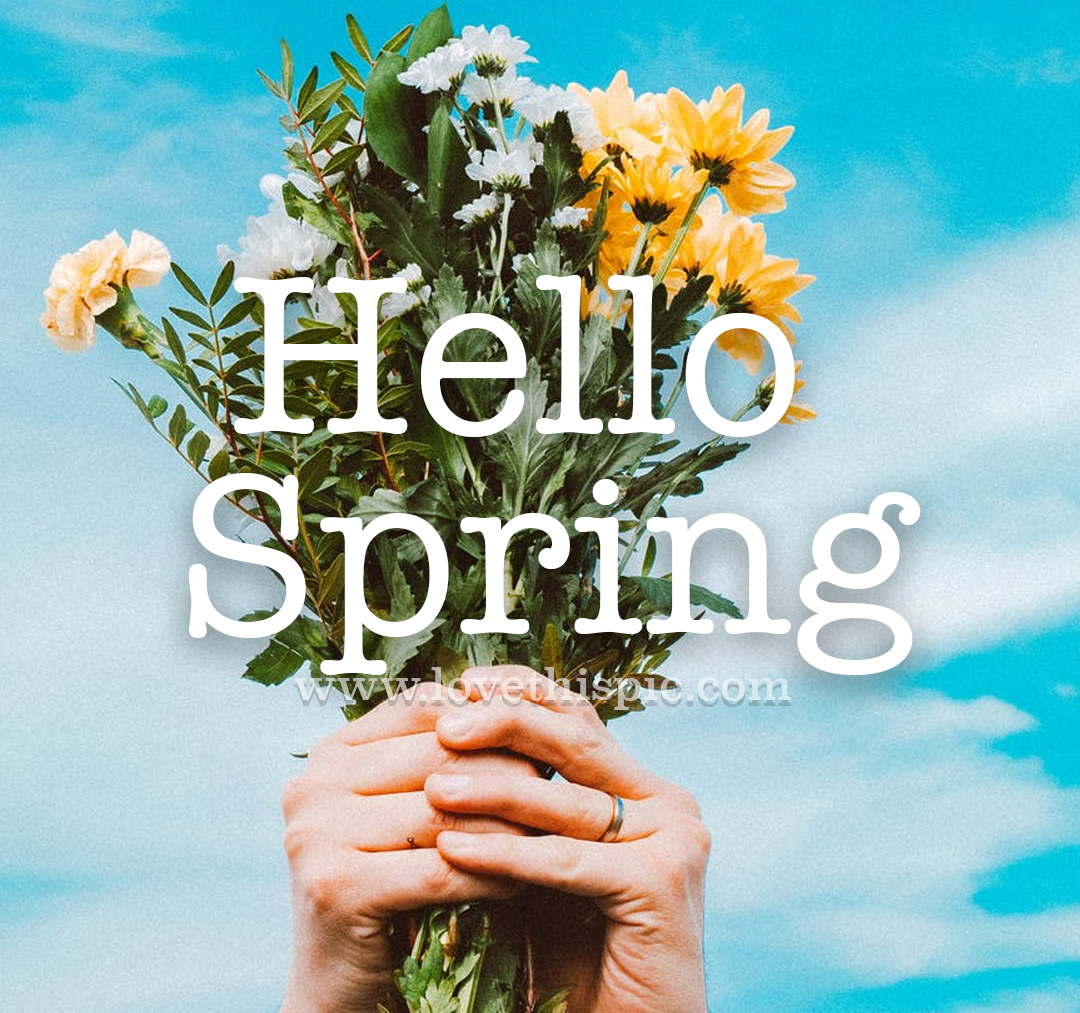 Bundle Of Flowers - Hello Spring Pictures, Photos, and Images for ...