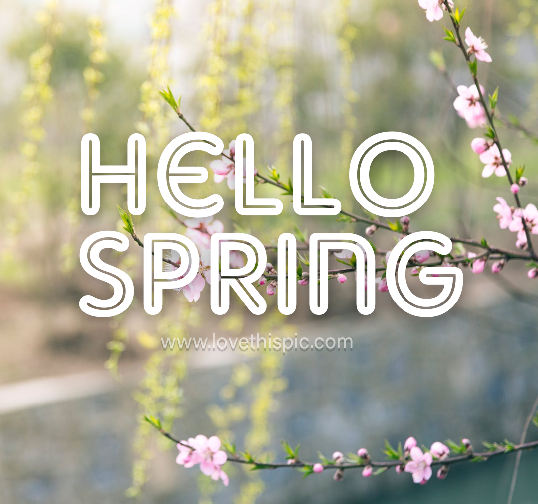 Cute Pink Flowers - Hello Spring Pictures, Photos, and Images for ...