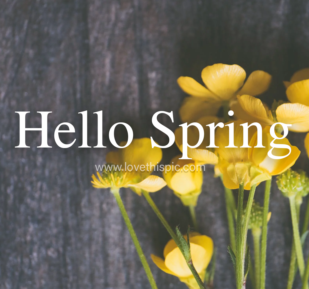 Buttercup Flower Hello Spring Image Pictures, Photos, and Images for ...
