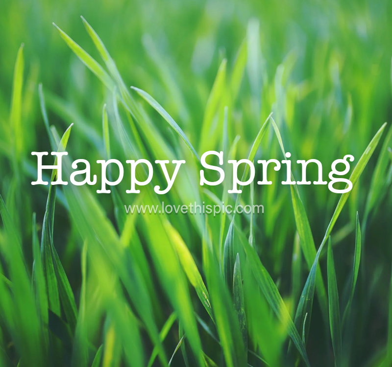 Grassy Happy Spring Image Pictures, Photos, and Images for Facebook ...
