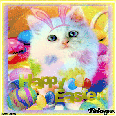 White Kitty Happy Easter Gif Pictures, Photos, and Images for Facebook ...