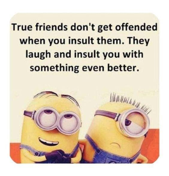 True Friends Dont Get Offended When You Insult Them Pictures, Photos ...