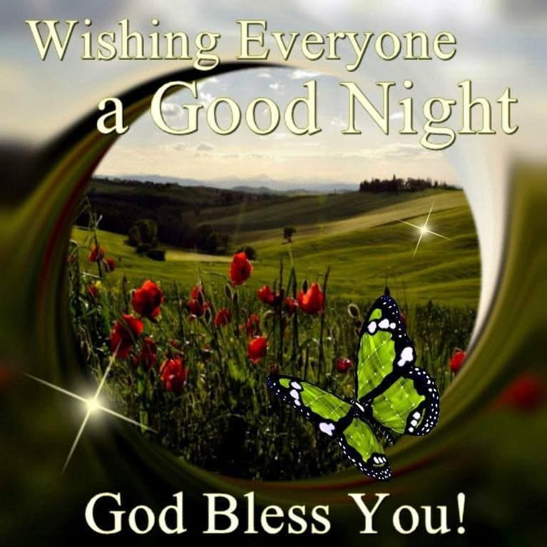 Wishing Everyone A Good Night Pictures, Photos, and Images for Facebook ...