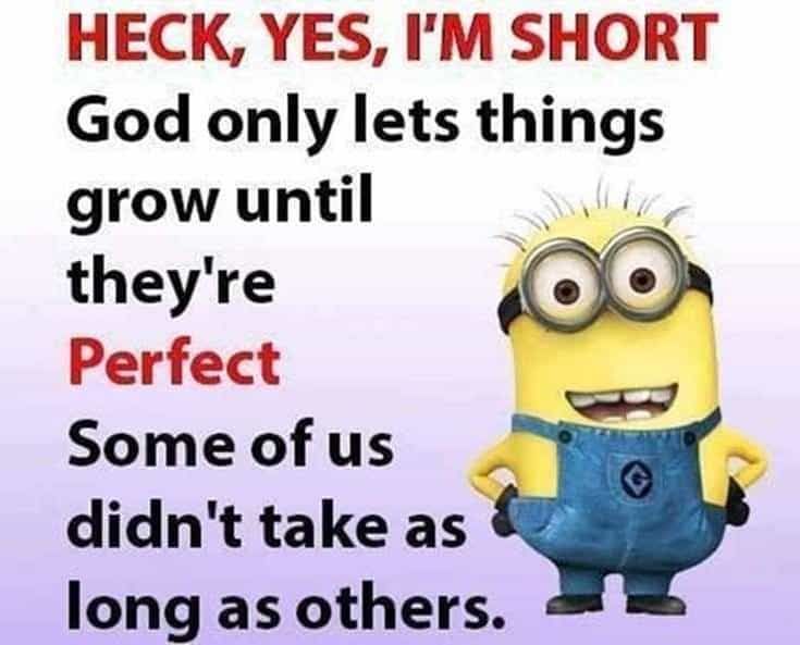 Yes Im Short Pictures, Photos, and Images for Facebook, Tumblr ...