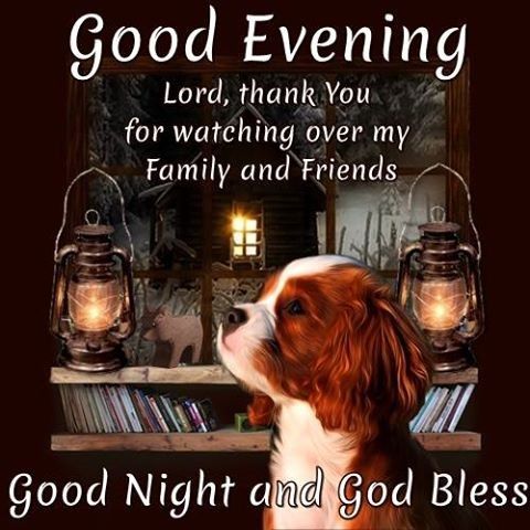 Lantern & Pup - Good Evening Image Pictures, Photos, and Images for ...