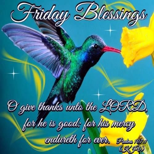 Hummingbird Friday Blessings Pictures, Photos, and Images for Facebook ...