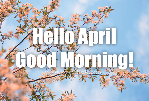 Flower Hello April Good Morning Pictures, Photos, and Images for ...
