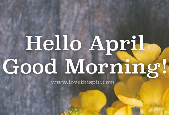 Yellow Petaled Flowers - Hello April, Good Morning! Pictures, Photos ...