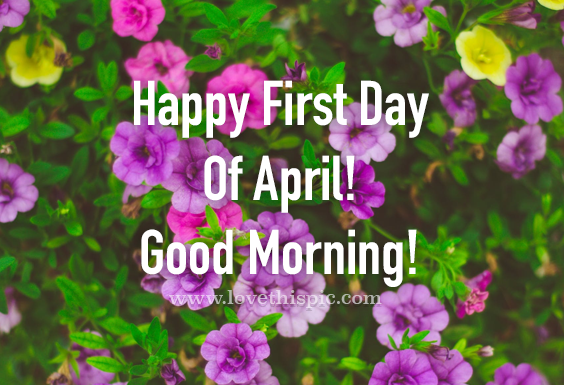 Botanical Flower - Happy First Day Of April Pictures, Photos, and ...