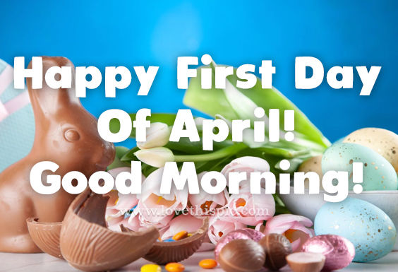 Chocolate Bunny - Happy First Day Of April, Good Morning Pictures ...