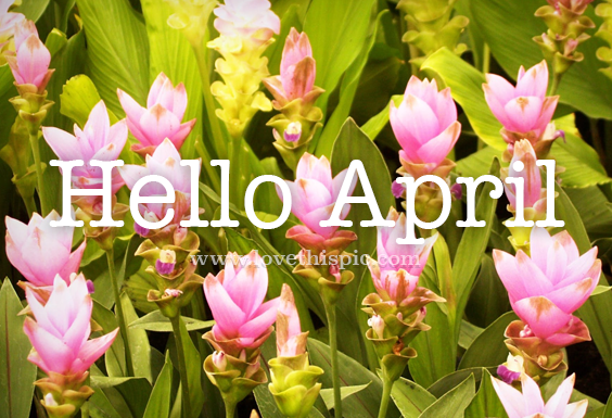 Beautiful Blossoms Hello April Quote Pictures, Photos, and Images for ...