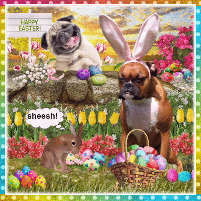 Happy & Angry Dog - Happy Easter Pictures, Photos, and Images for ...