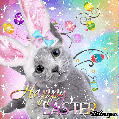 Sparkling Happy Easter Cat Pictures, Photos, and Images for Facebook ...