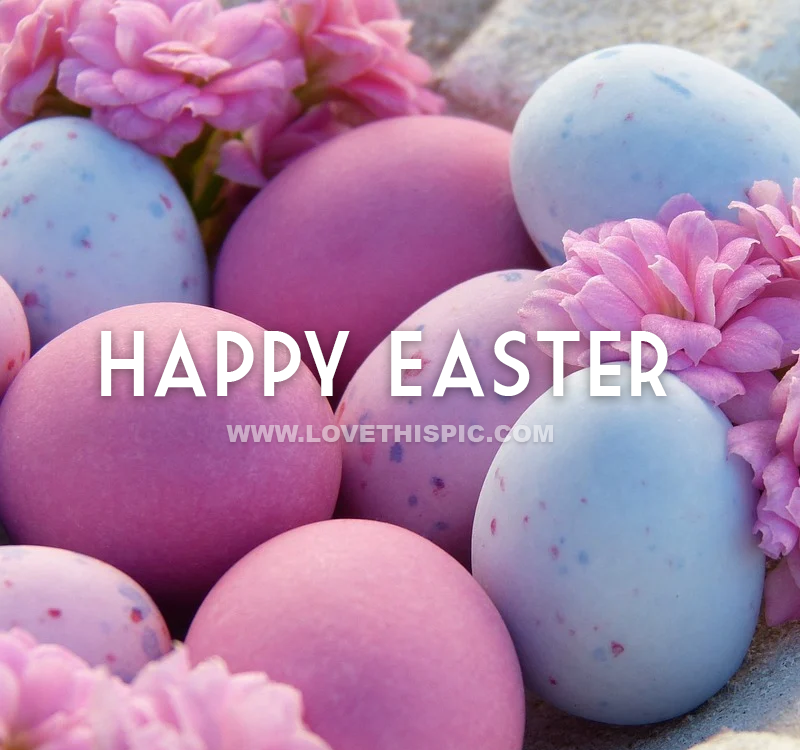 Light Pink & Blue Eggs - Happy Easter Pictures, Photos, and Images for ...
