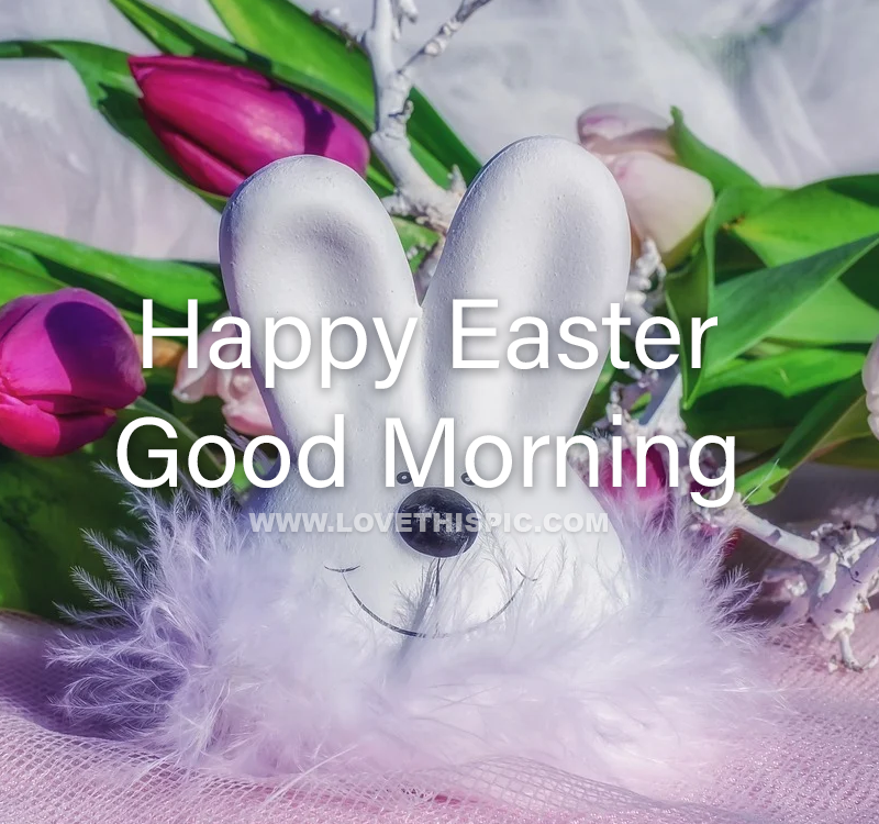 Easter Bunny Figure - Happy Easter Good Morning Pictures, Photos, and ...