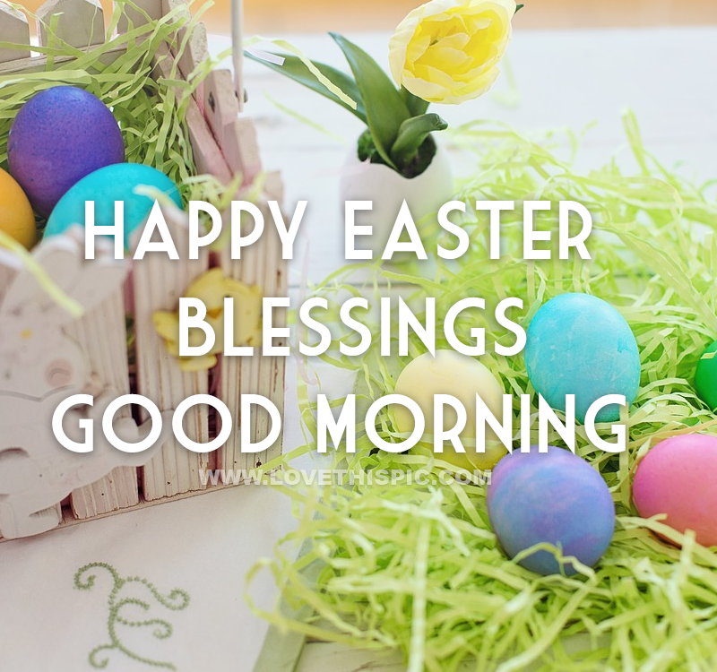 Colorful Pastel Eggs - Good Morning Easter Blessings Pictures, Photos ...