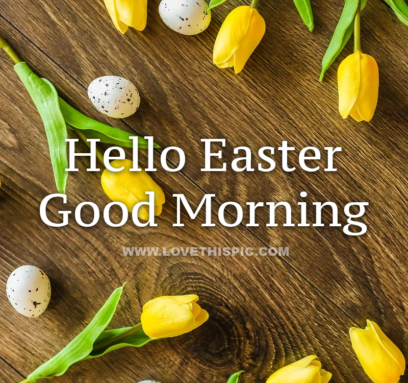 Tulips And Easter Eggs - Hello Easter Pictures, Photos, and Images for ...